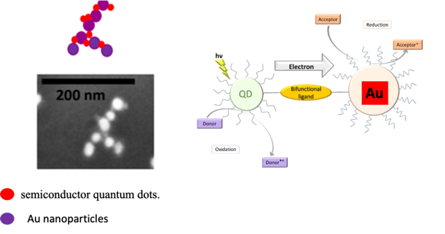 Quantum Dots - Au Nanoparticles composites as new catalysts for photo ...